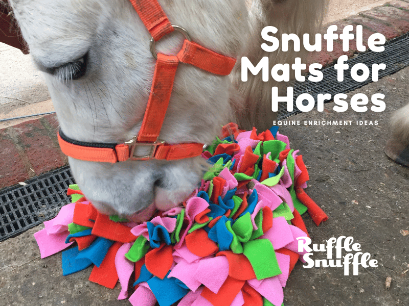 Great Equine Enrichment Ideas Using Snuffle Mats with Horses – Ruffle ...