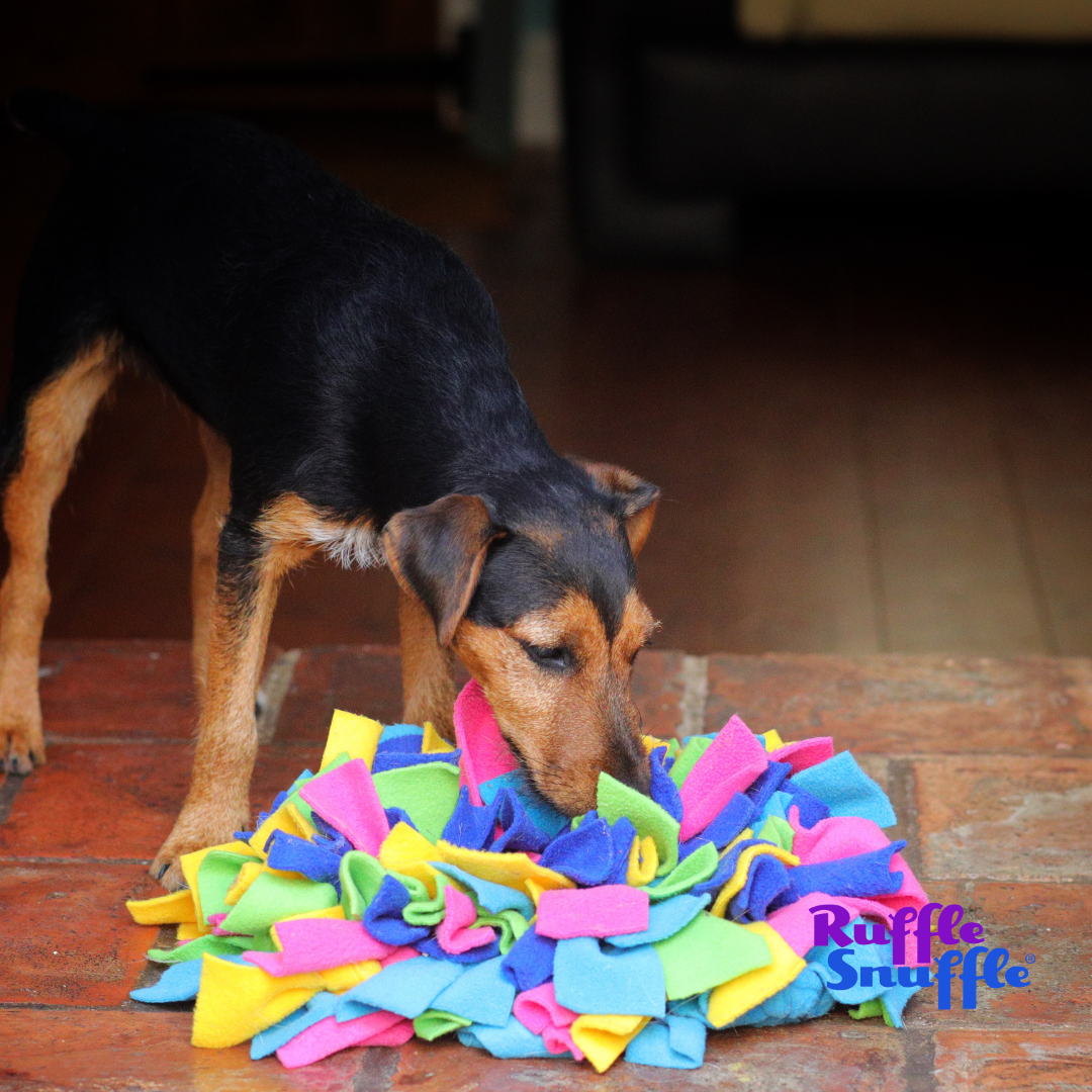 Snuffle Mat by Ruffle Snuffle - Magic Colours