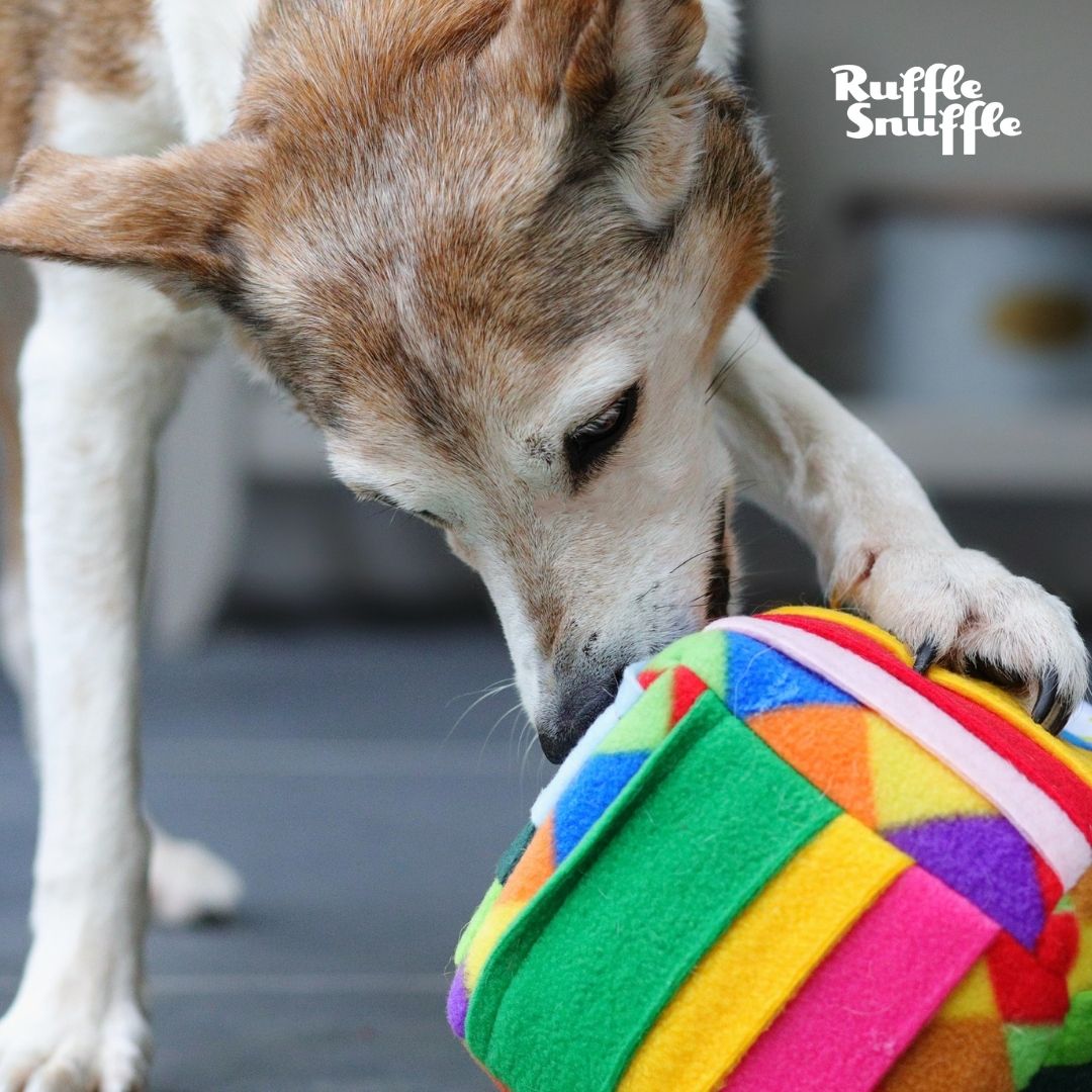 Challenger Cube™ - Snuffle Cube® pet enrichment toy – Ruffle Snuffle