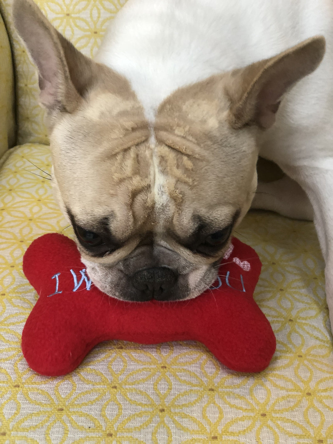 Ruffle Snuffle 'I WUFF YOU' Bone